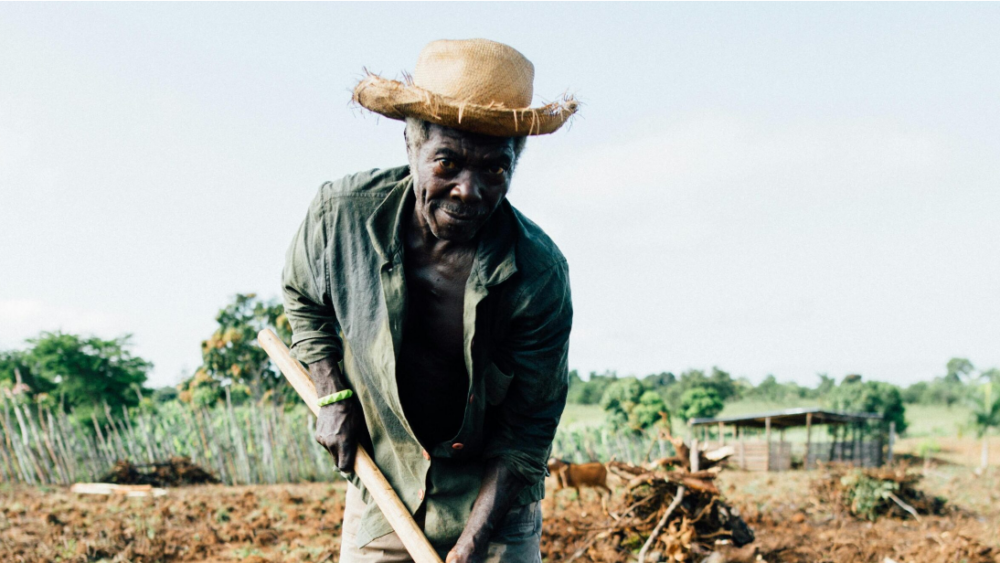 Home - Atlanta Tribune